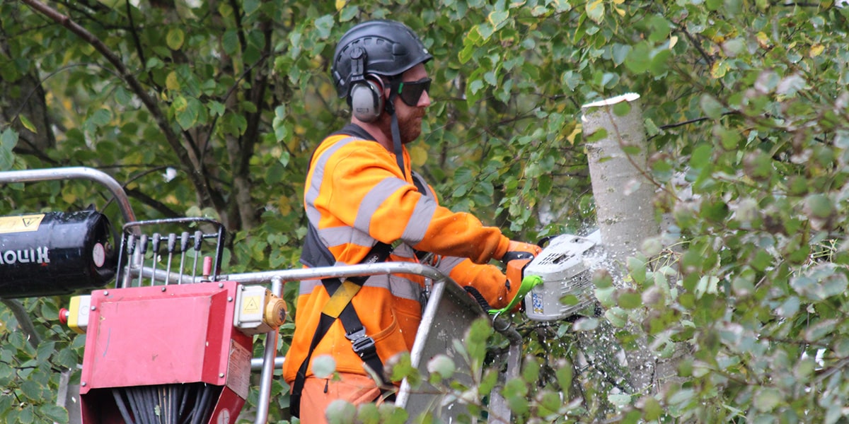 Efficient Vegetation Management: Scoping, Planning, and Delivery