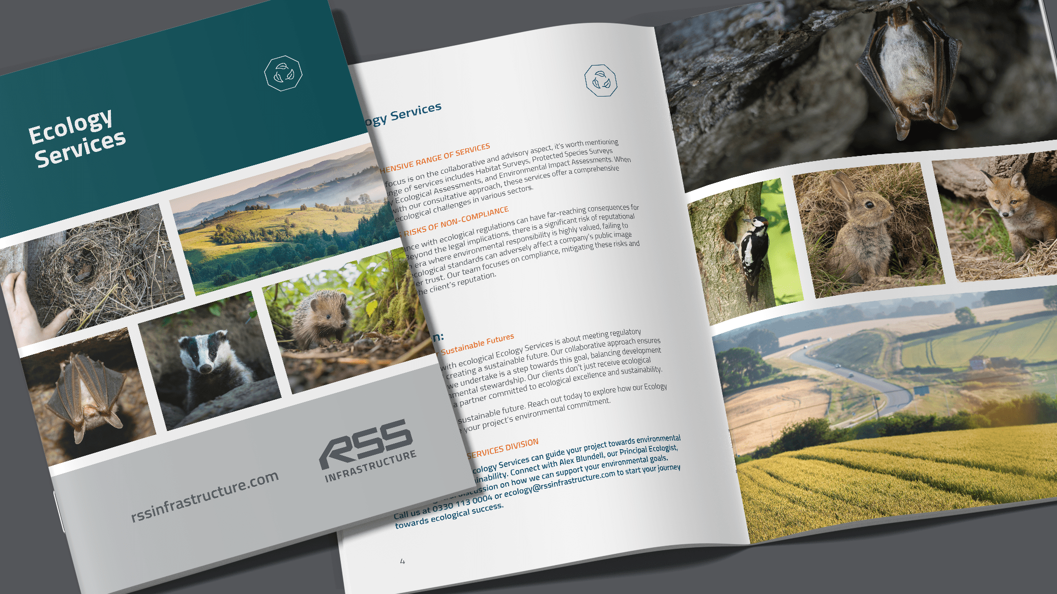 Download Ecology PDF Brochure