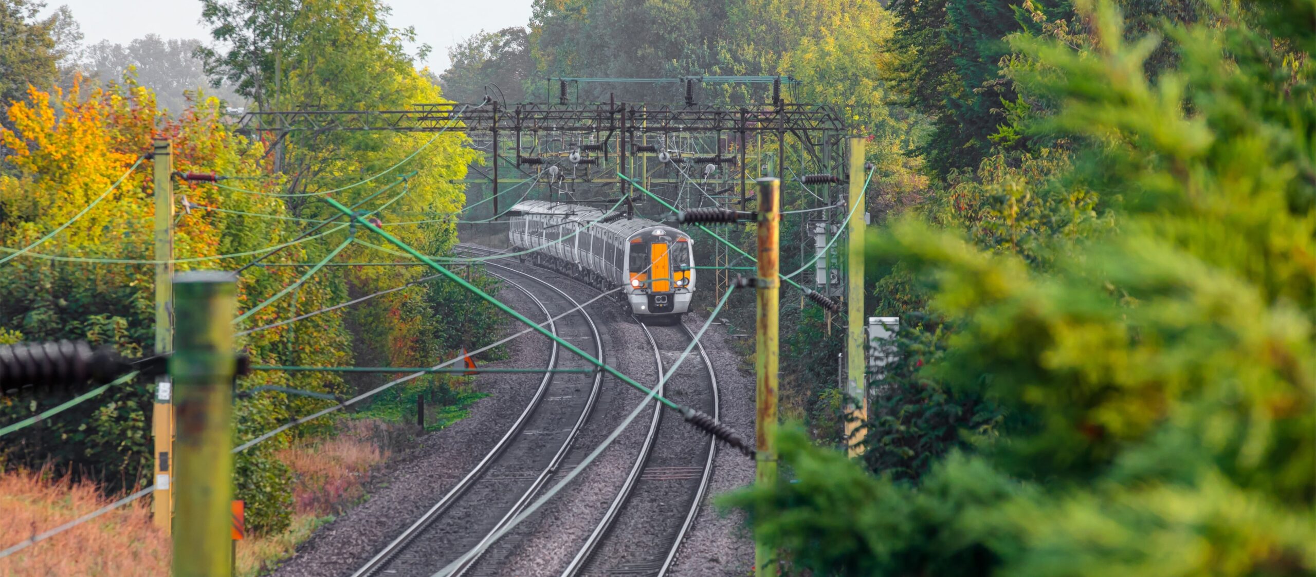Biodiversity in Rail Infrastructure: Balancing Progress with Nature ...